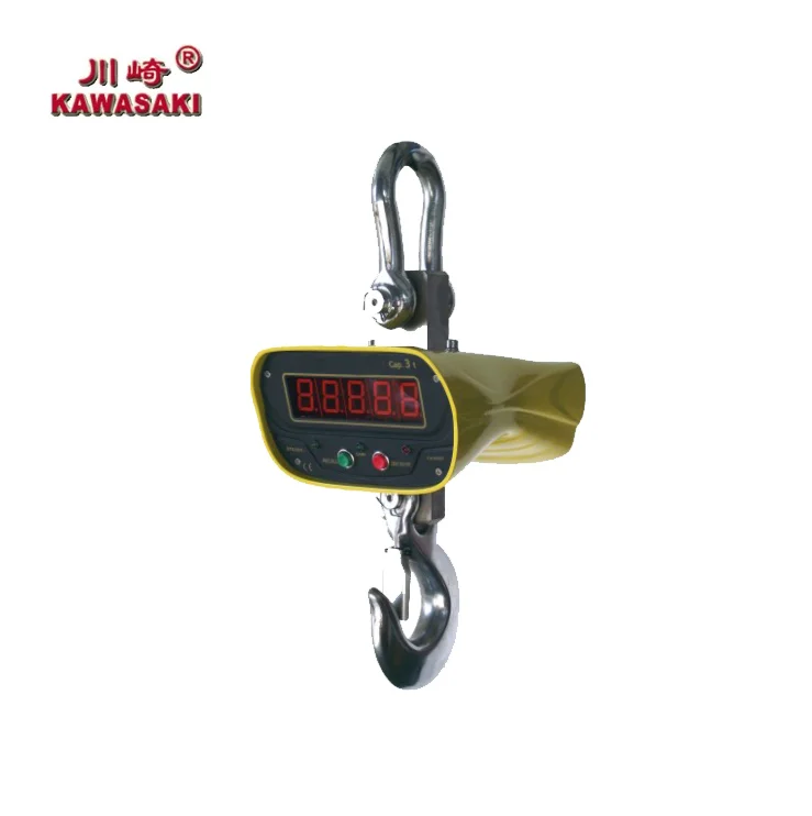 How to Reset Crane Scale for Accurate Weighing Results - Apollo